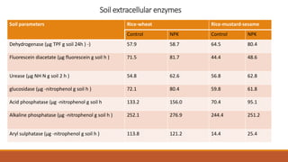 SOIL ENZYMES.pptx