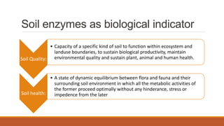 SOIL ENZYMES.pptx