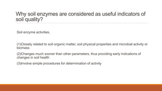 SOIL ENZYMES.pptx
