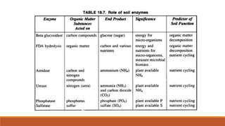 SOIL ENZYMES.pptx