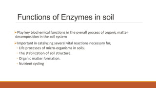 SOIL ENZYMES.pptx