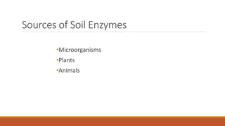 SOIL ENZYMES.pptx