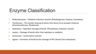 SOIL ENZYMES.pptx