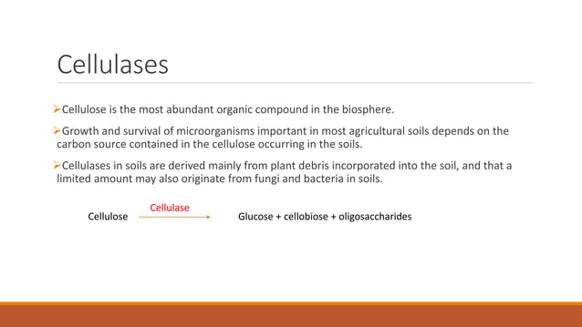 SOIL ENZYMES.pptx | Gardening | Home & Garden