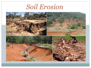 Soil erosion | PPT