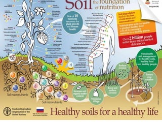 Soil erosion | PPTX | Agriculture | Industries