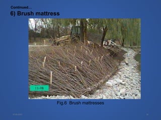Soil erosion | PPTX