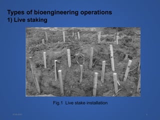 Soil erosion | PPTX | Landscaping | Home & Garden