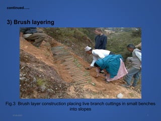 Soil erosion | PPTX