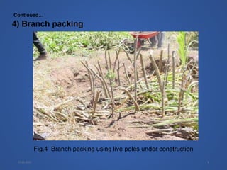 Soil erosion | PPTX