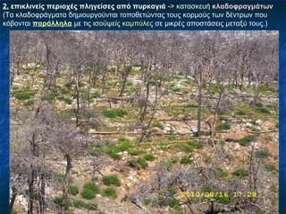 Soil Erosion | PPT