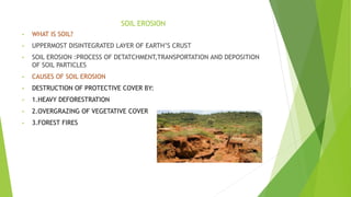Soil erosion | PPTX