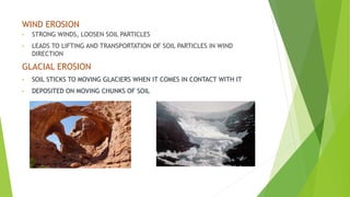 Soil erosion | PPTX