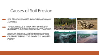 SOIL EROSION.pptx
