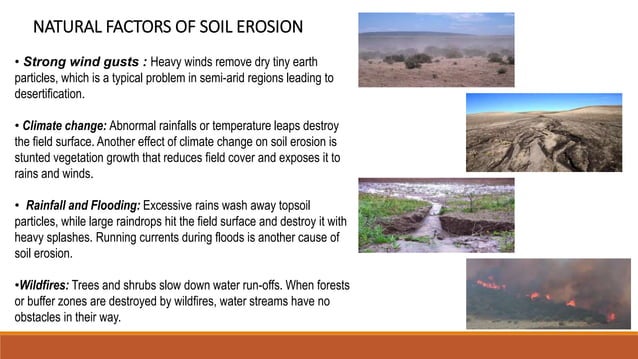 SOIL EROSION.pptx