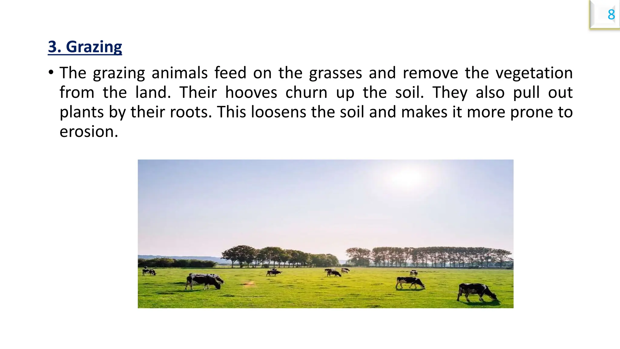 Soil Erosion Defination Causes Effects Pptx