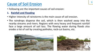 Understanding Soil Erosion Causes Effects Solutions - Educational ...