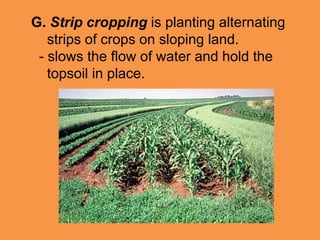 the soil erosion and soil conservation.pptx