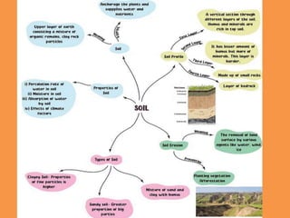 the soil erosion and soil conservation.pptx