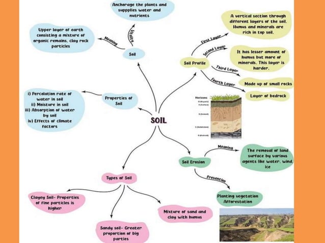 the soil erosion and soil conservation.pptx