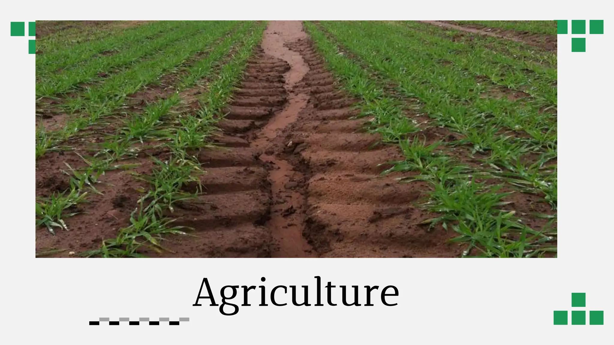 Soil Erosion FOR EARTH SCIENCE EEEYY.pptx