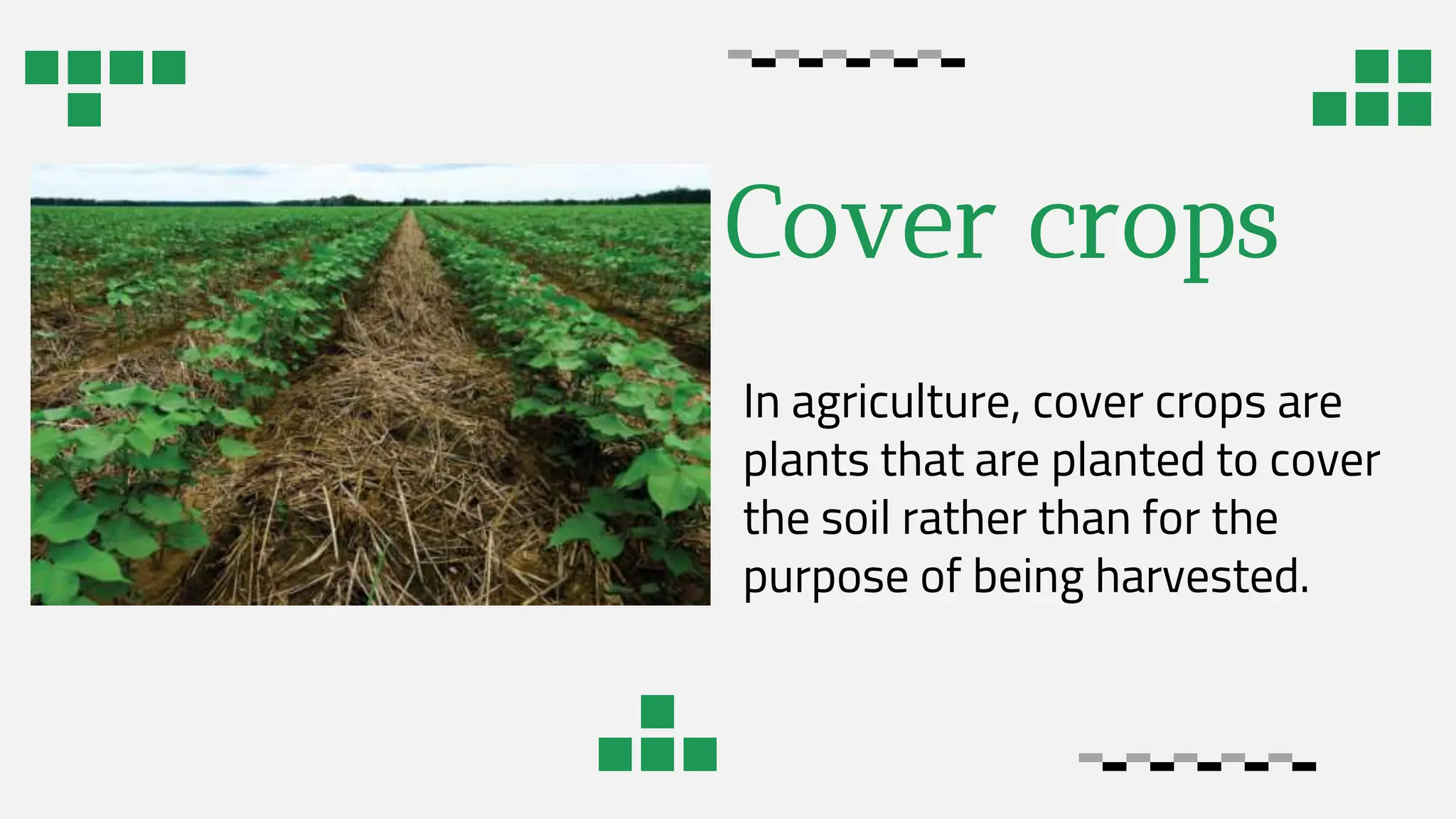 Soil Erosion FOR EARTH SCIENCE EEEYY.pptx
