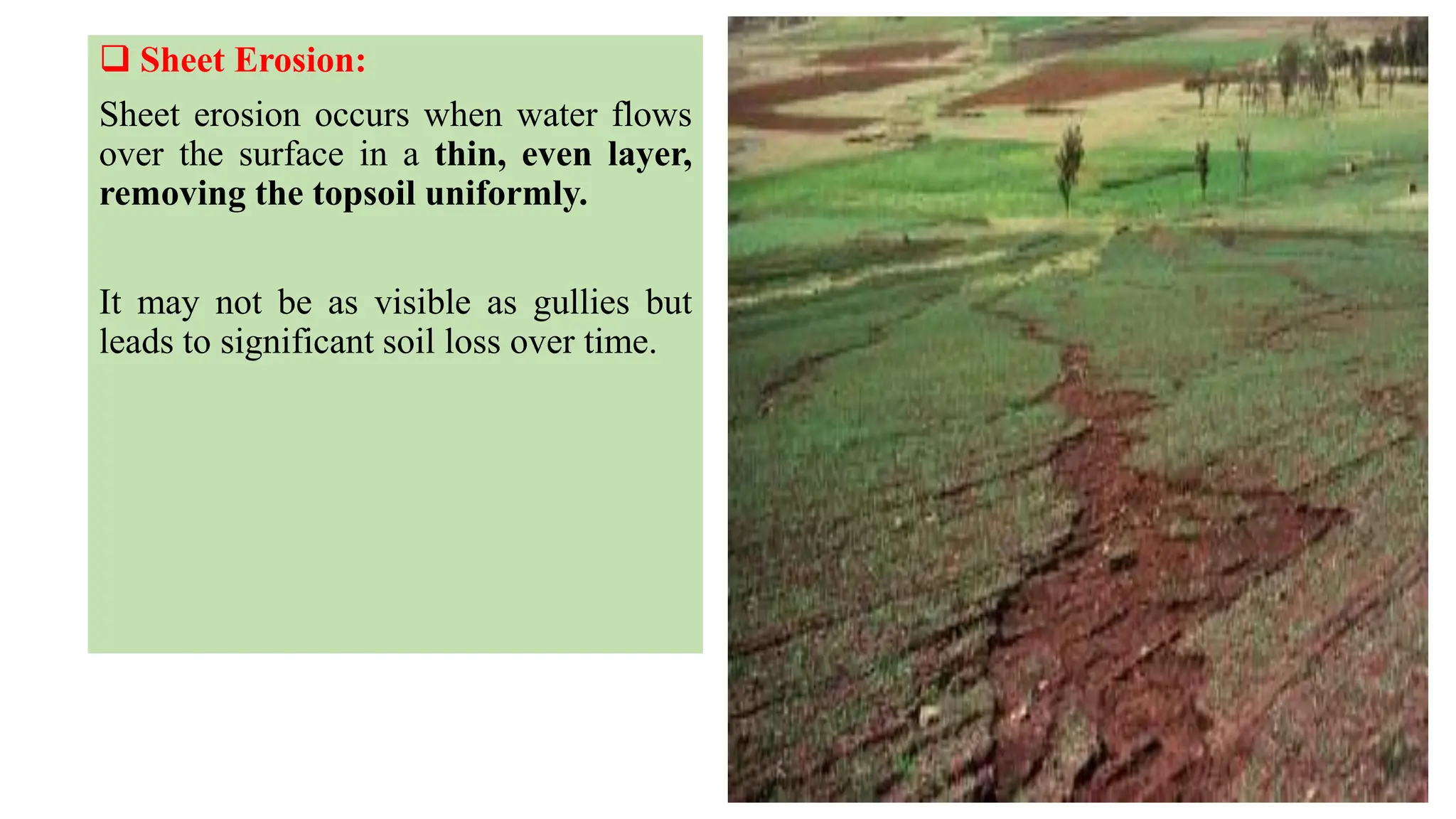 Soil erosion-History, distribution, identification, forms, impact of ...