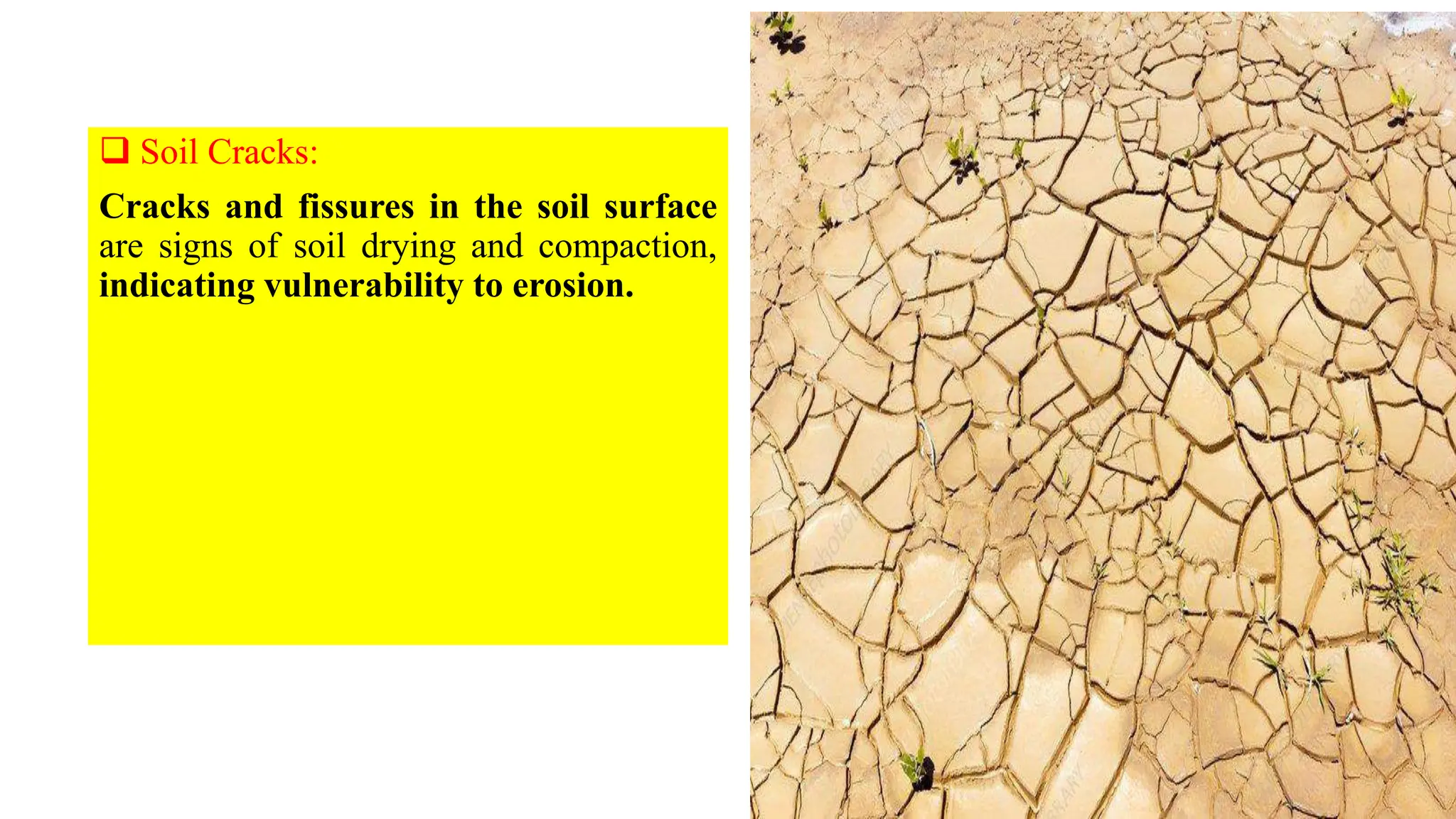 Soil erosion-History, distribution, identification, forms, impact of ...
