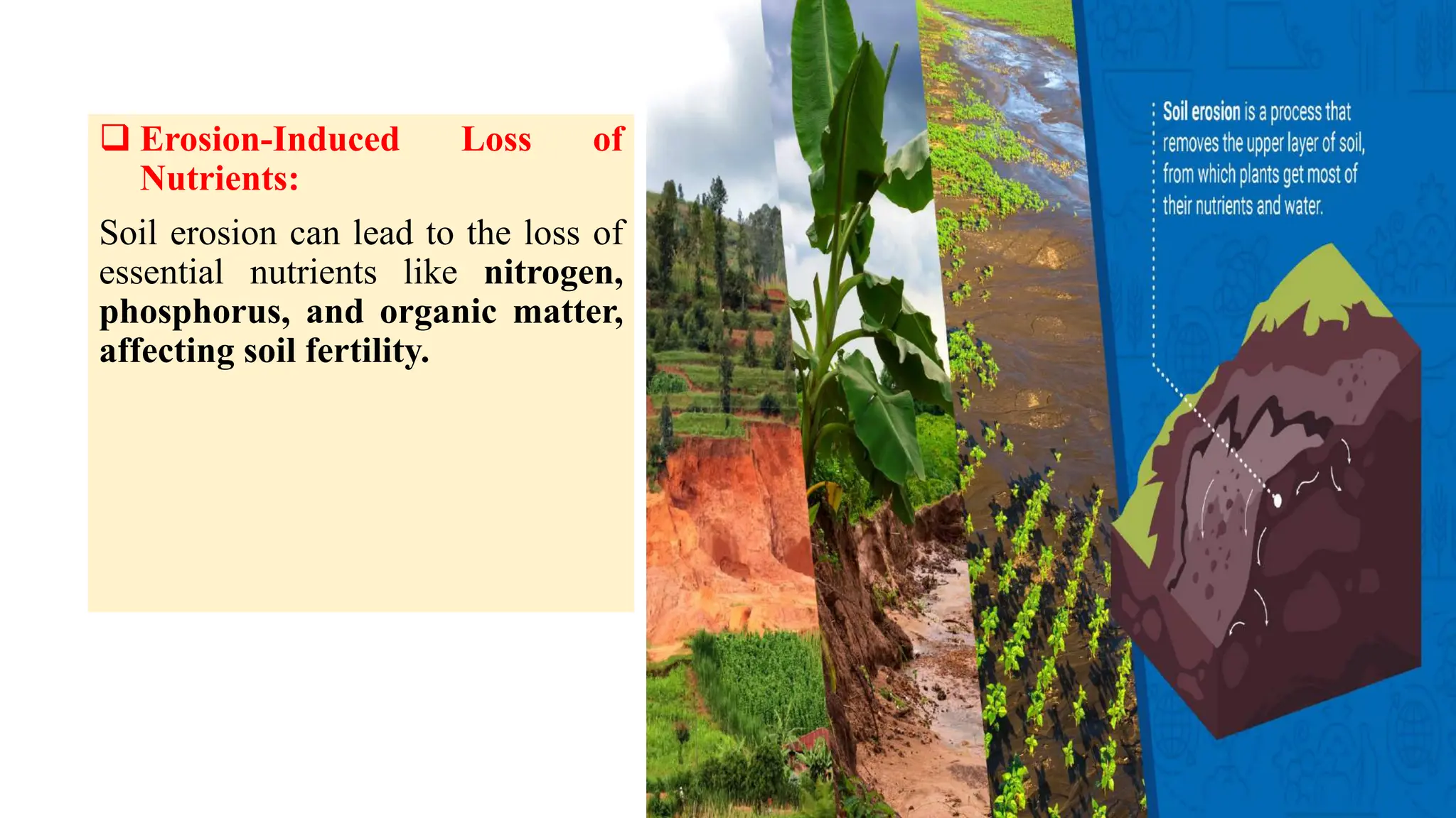 Soil erosion-History, distribution, identification, forms, impact of ...