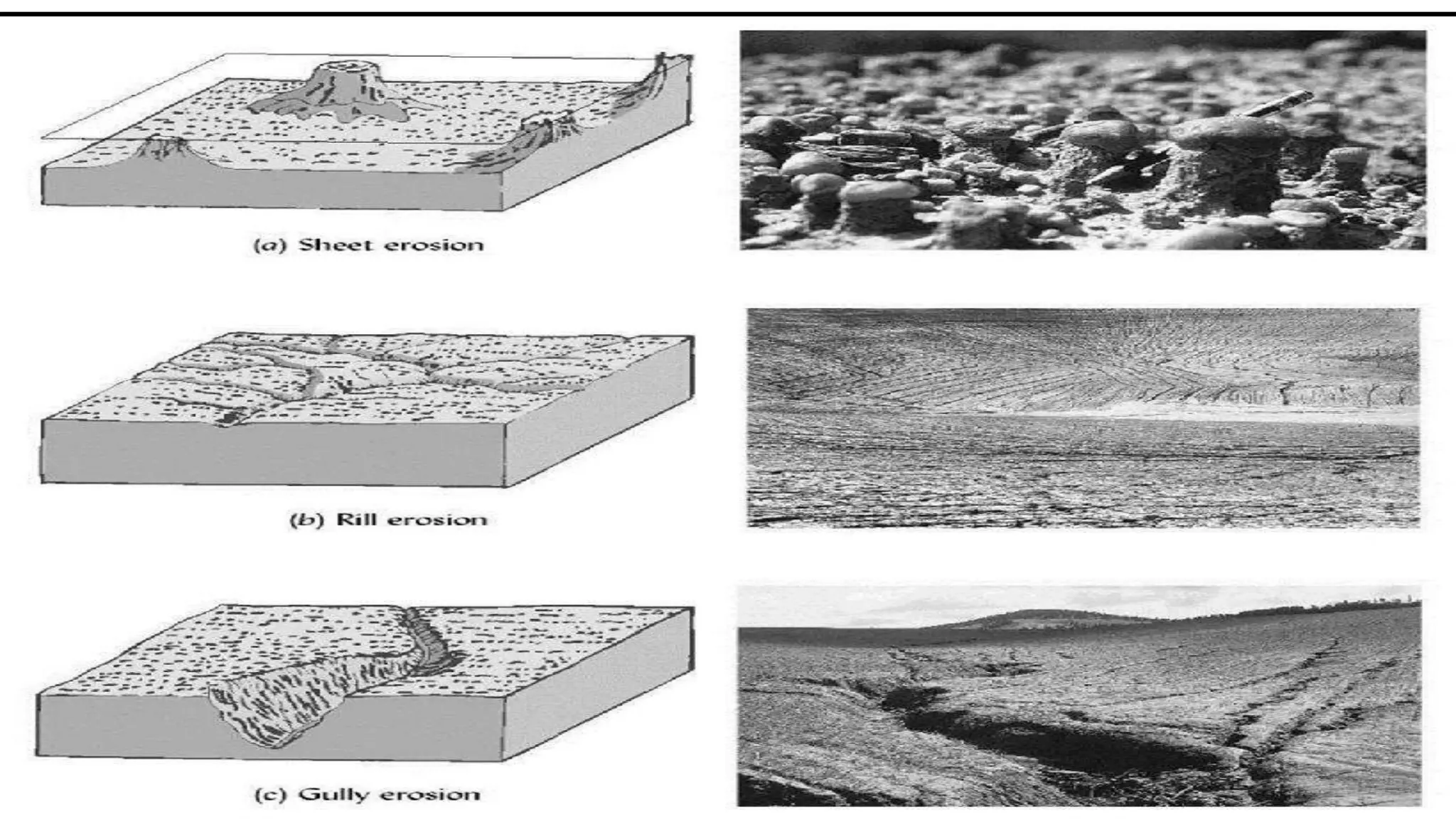 Soil erosion-History, distribution, identification, forms, impact of ...
