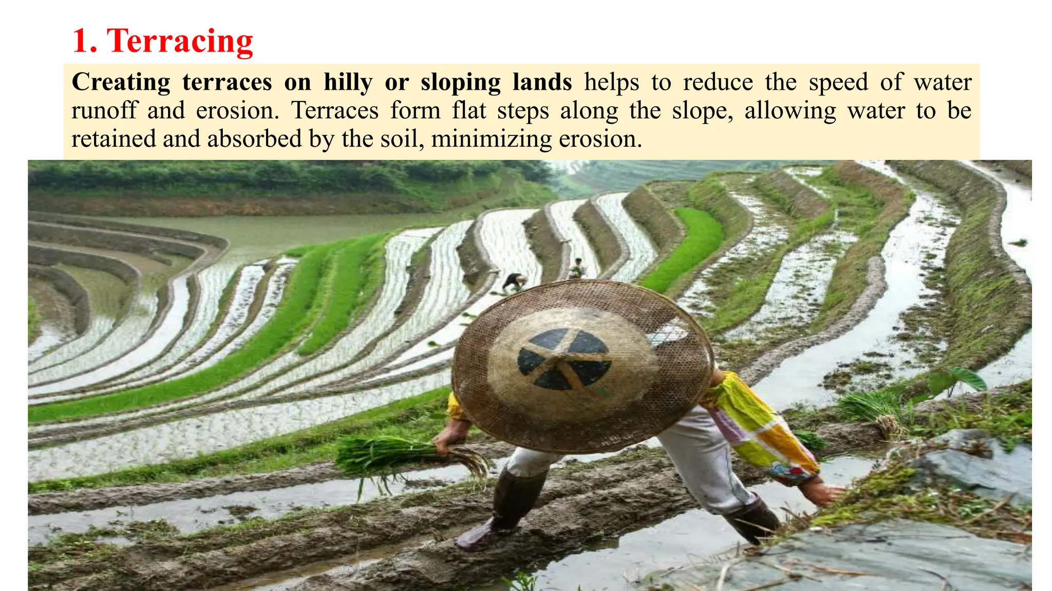 Soil erosion-History, distribution, identification, forms, impact of ...
