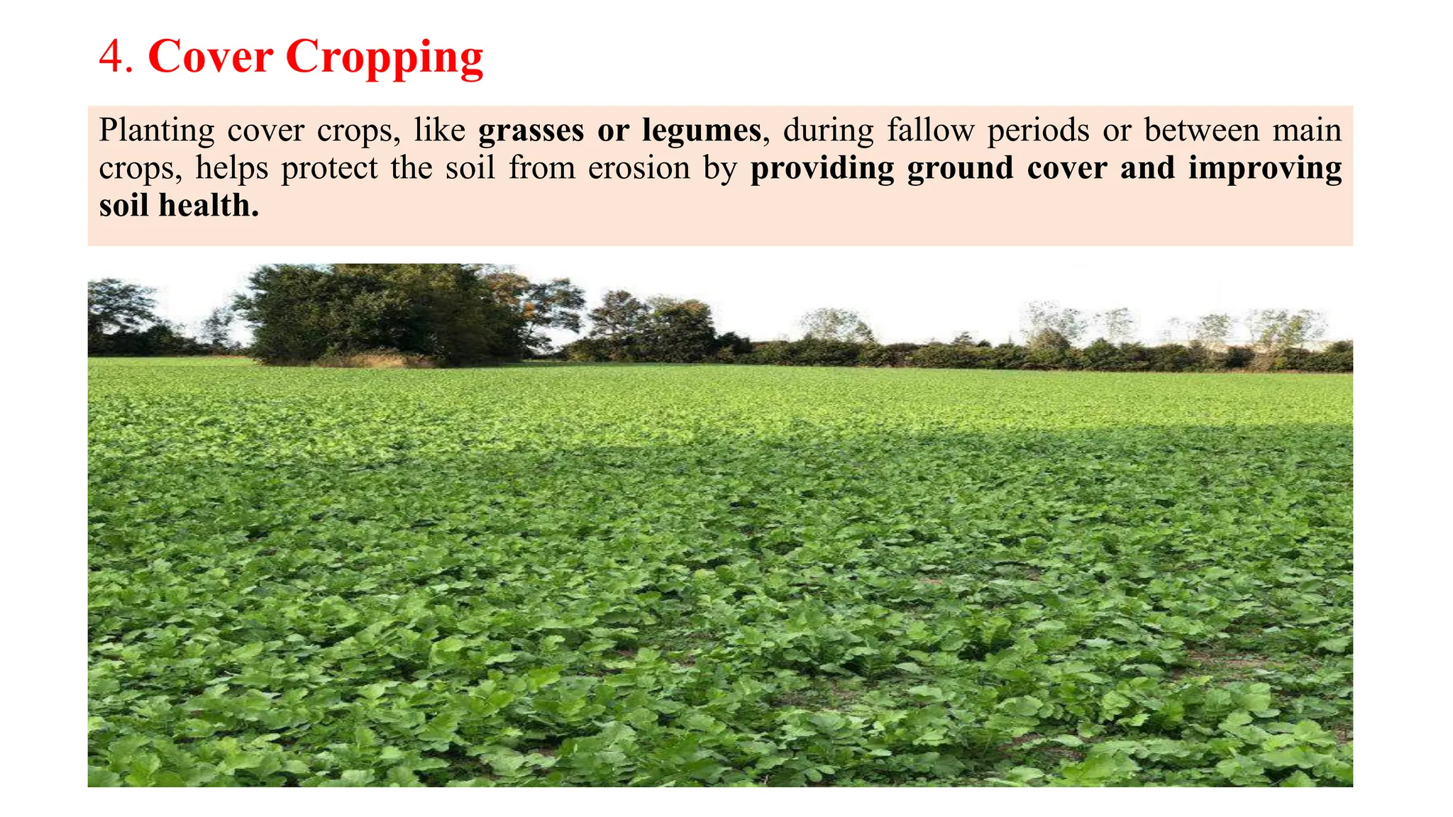 Soil erosion-History, distribution, identification, forms, impact of ...