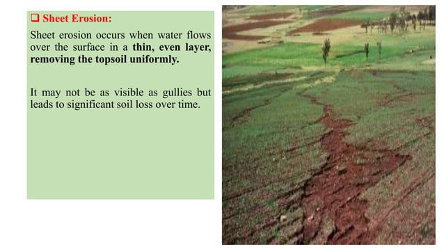 Soil erosion-History, distribution, identification, forms, impact of ...