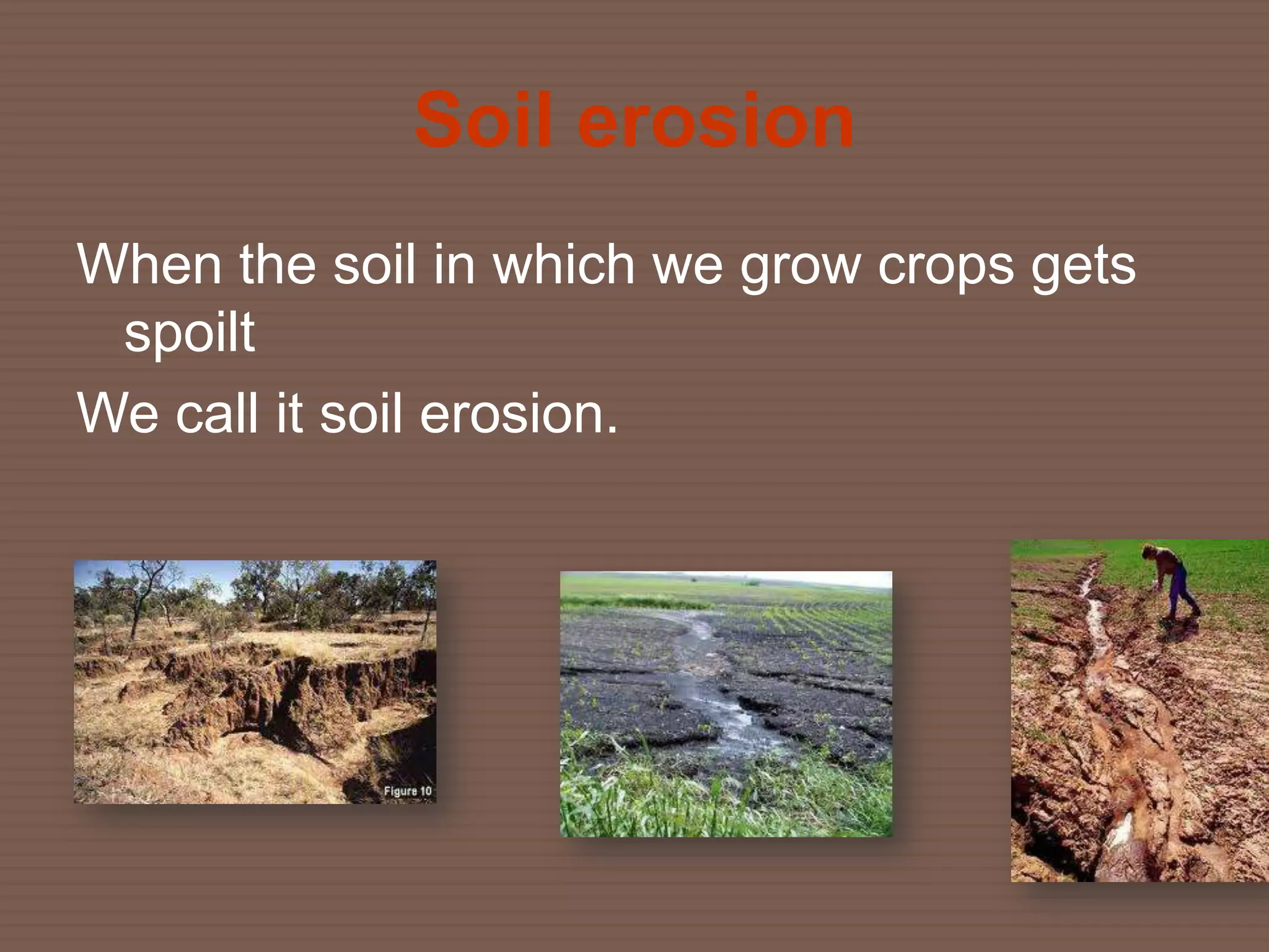Soil erosion and conservation. | PPTX