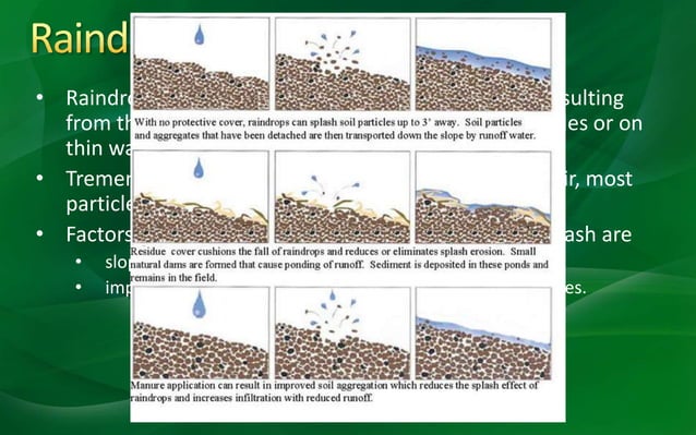 Soil erosion by water | PPTX | Geography | Science