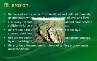 Rill Erosion Definition