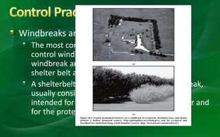 Soil erosion by wind | PPTX