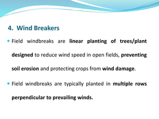 Soil erosion control measures | PPTX