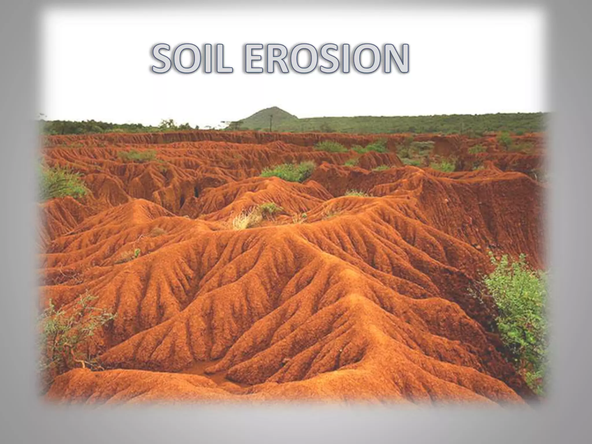 Soil Erosion | PDF