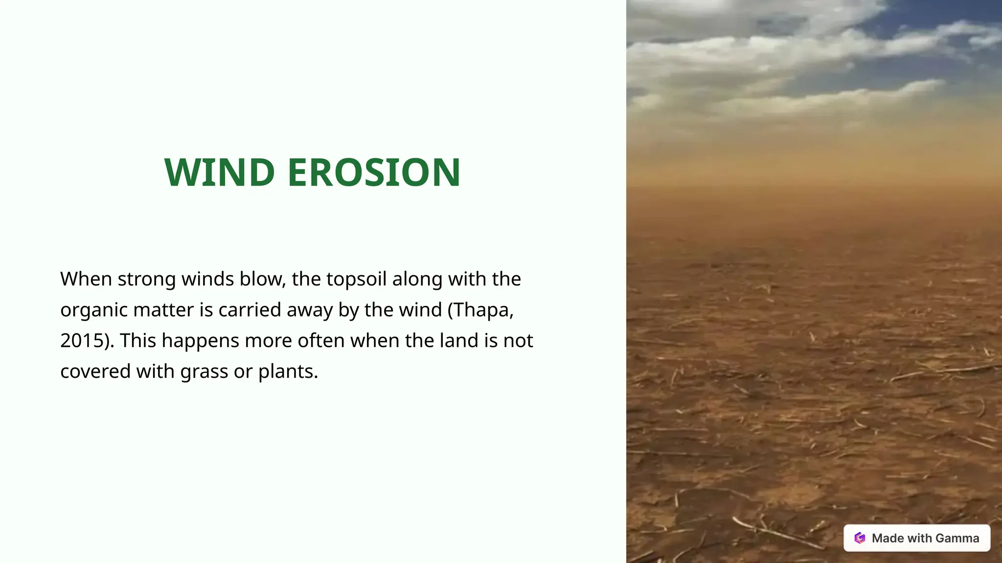 Geography grade 11 soil erosion presentation | PPTX