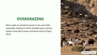 Geography grade 11 soil erosion presentation | PPTX