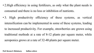 Soilless culture definition and types... | PDF