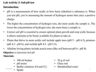 Soil experiment.pptx