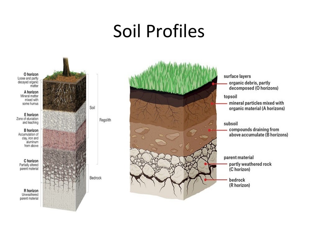 Soil exploration part i
