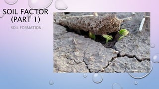 Soil factor | PPT