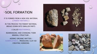 Soil factor | PPT