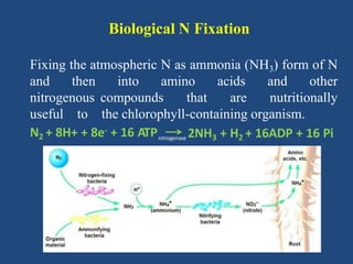 Soilfert 210111161138 | PPT | Free download