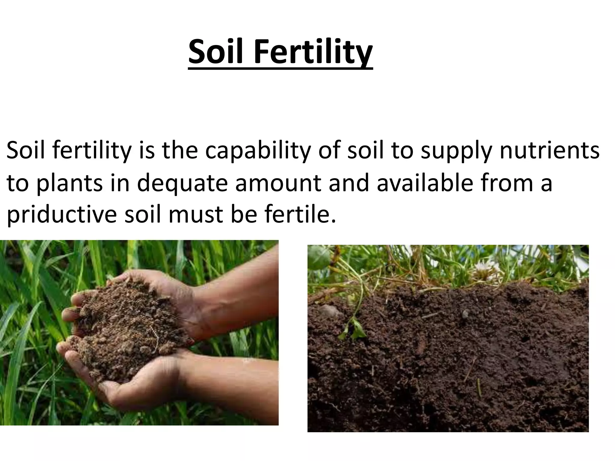 Soil fertility | PPTX