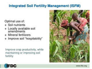 Soil fertility | PPTX