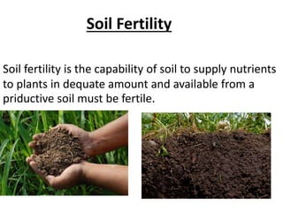 Fertile Soil Definition
